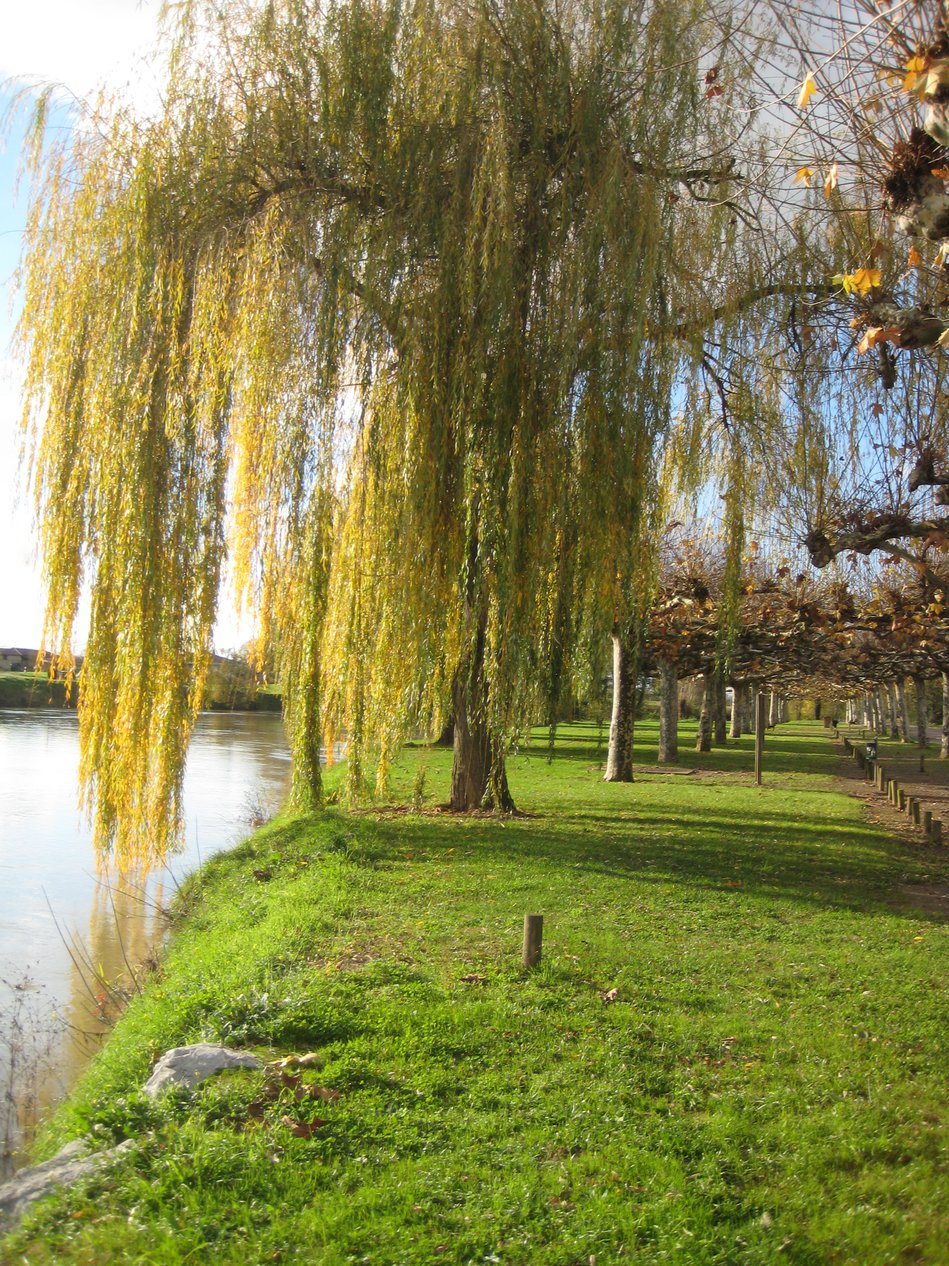 Pont et berges de l'Adour