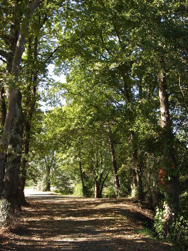 A Cazeres-sur-l'Adour, circuit de Cante Coucut