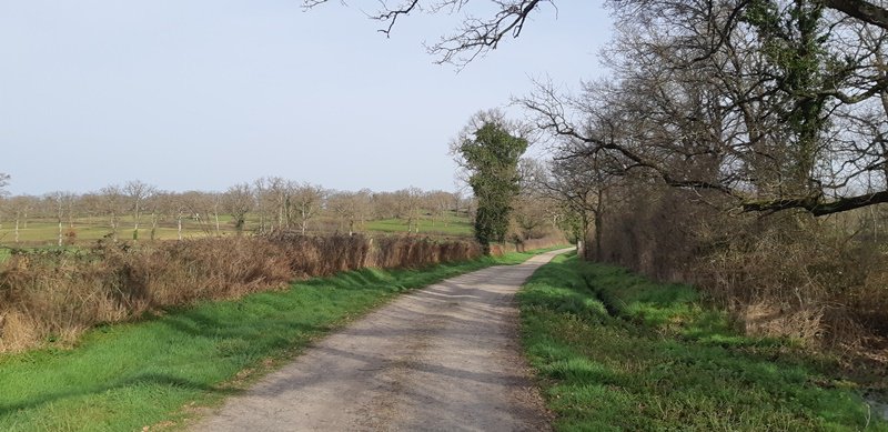 Découverte de la flore du bocage: Un bocage dense sur le déclin - Tilly