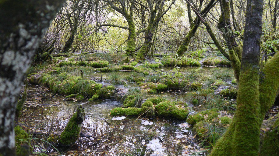 Sentier "Sources de l'Ignon" - Poncey-sur-l'Ignon