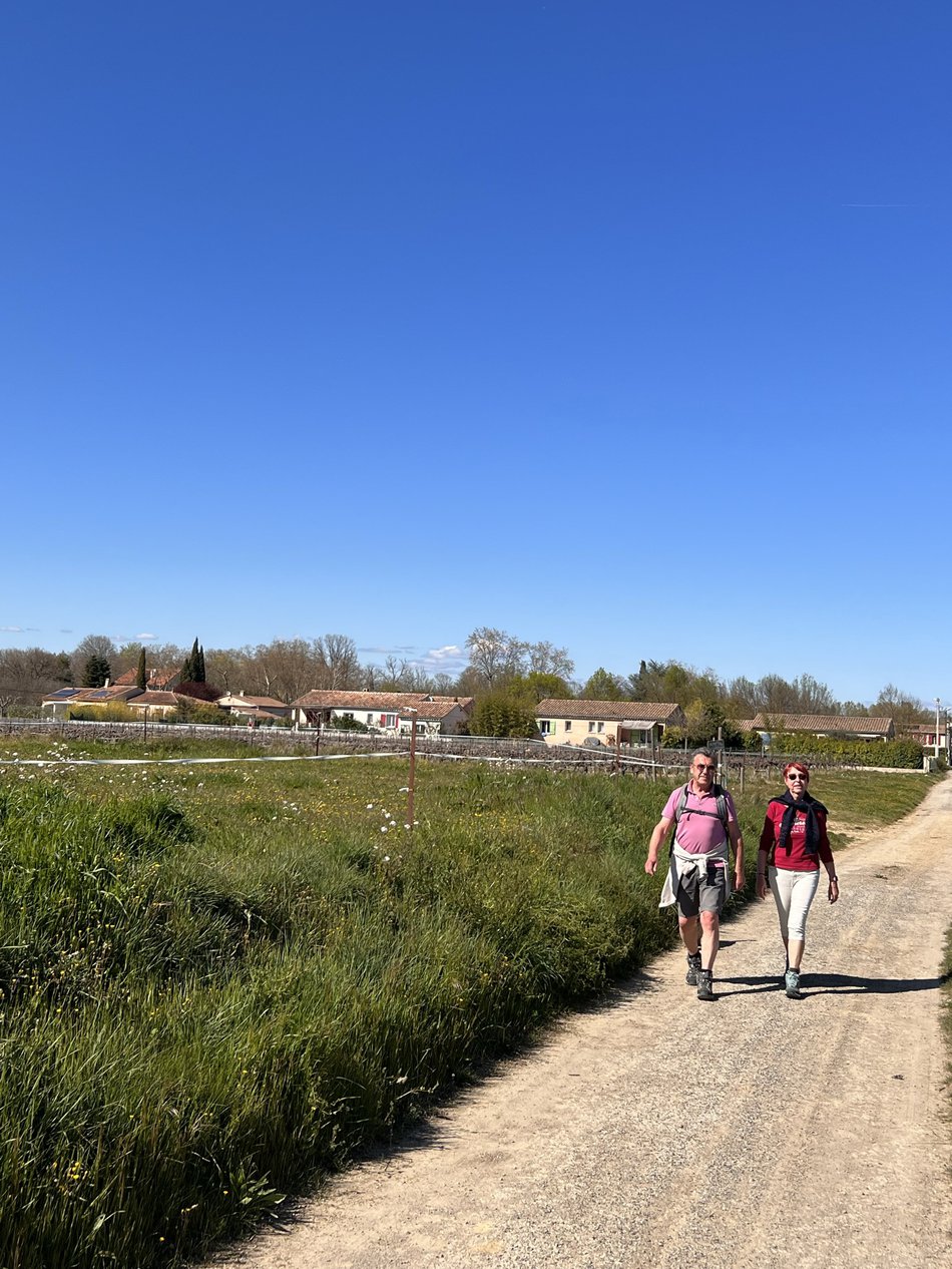 Le sentier du bois de Devès - Cardet