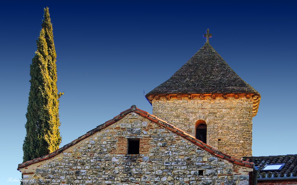 L'Eglise Saint Martin de Nuzéjouls - Nuzéjouls