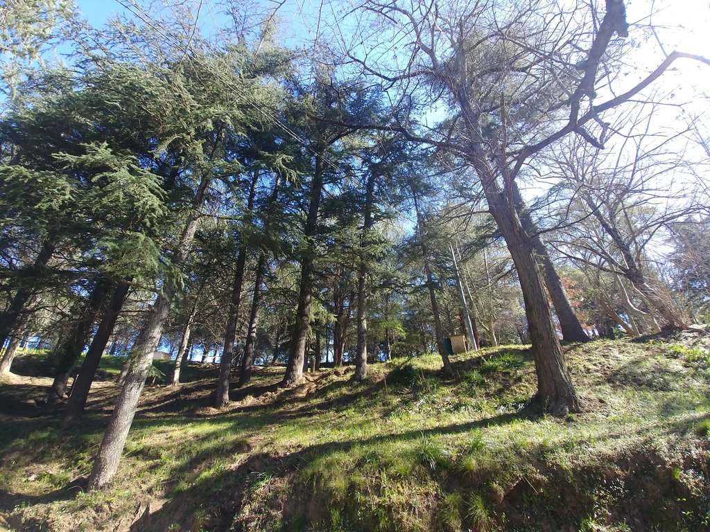 Parc Saint Roch - Collobrières